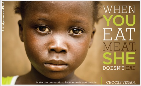 Peta2: Free Make the Connection Pack