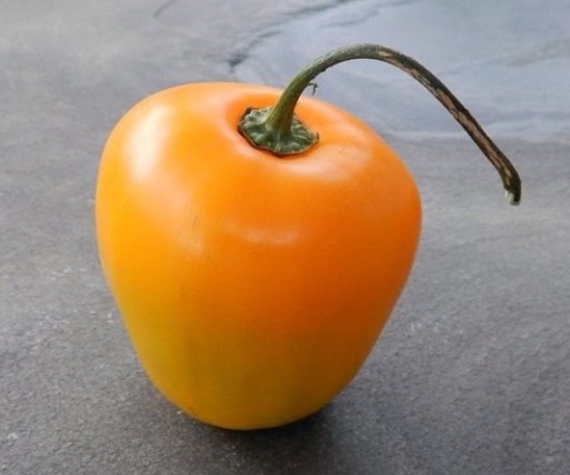 Free Manzano Chili Pepper Seeds