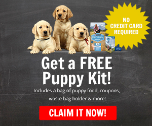 FREE Puppy Kit