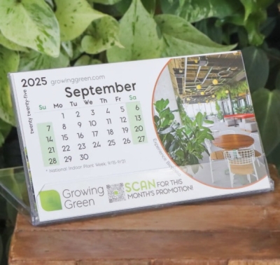 Free Growing Green Desk Calendar | ILFT.com